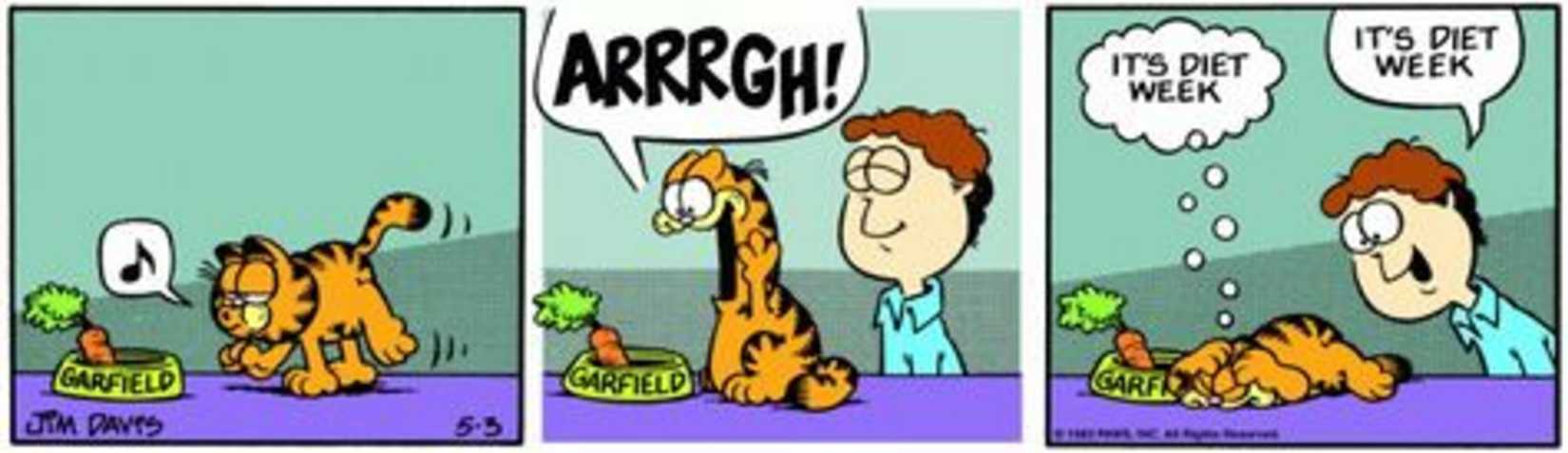 10 Funniest Garfield Comics About Dieting