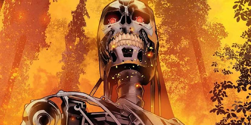 "Quantum Leap from Hell": New Terminator Series' Time Travel Was ...