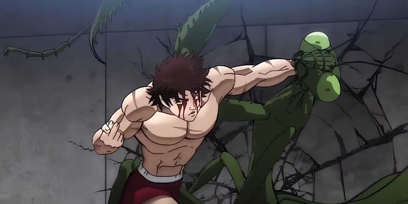 10 Best Fighting Anime That Baki Fans Will Love