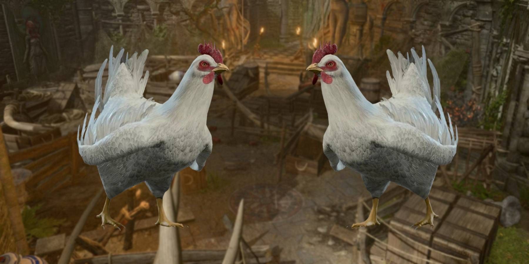 Baldur's Gate 3: Addled Frog Guide (Location, Uses, & Rewards)