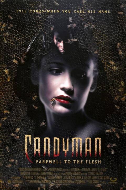 Candyman: Farewell to the Flesh Summary, Trailer, Cast, Where to Watch ...