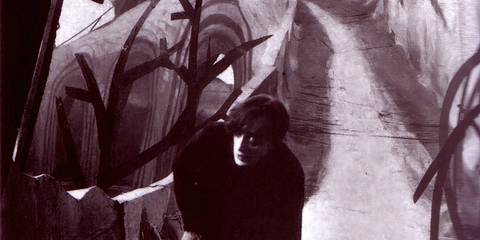 The Cabinet of Dr. Caligari Summary, Trailer, Cast, Where to Watch and More