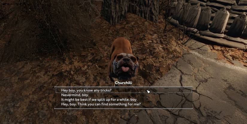 Fallout London: How To Get All Companions