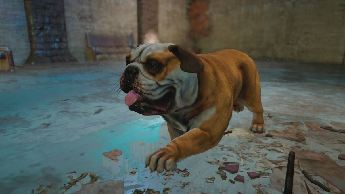 Fallout London: How To Get All Companions