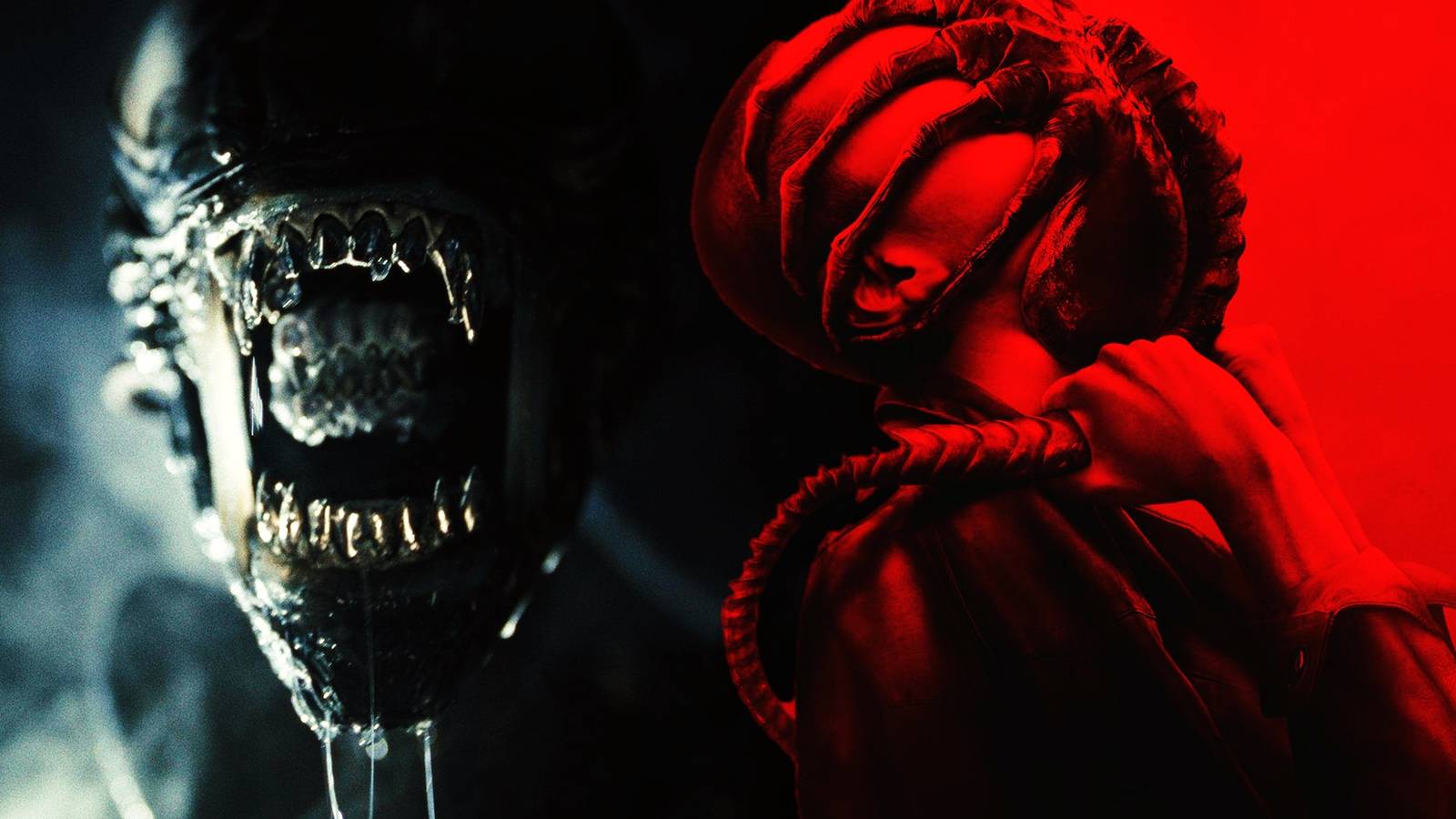 Where Did All The Facehuggers & Xenomorphs Come From In Alien: Romulus?