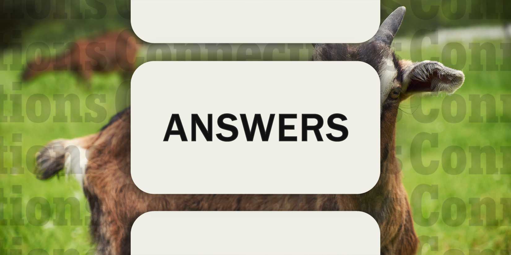 Today's Connections Hints & Answers For August 11, 2024 (Puzzle #426)