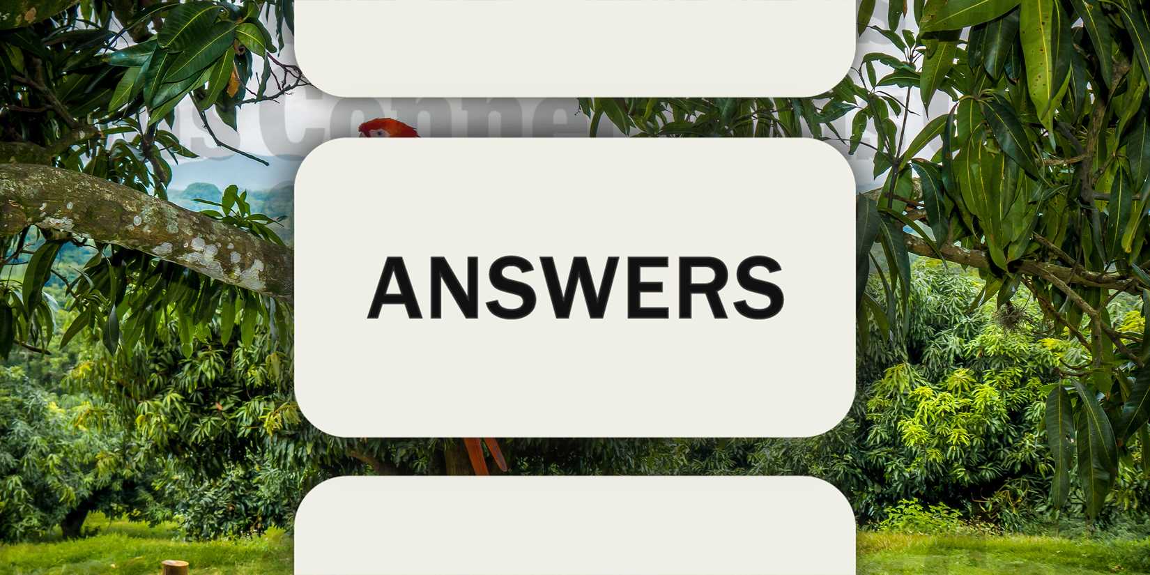 Today's Connections Hints & Answers For August 8, 2024 (Puzzle #423)