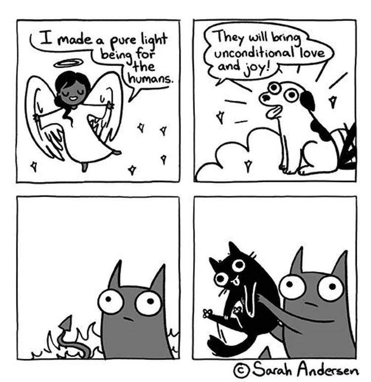 10 Best Sarah's Scribbles Comics About Cats