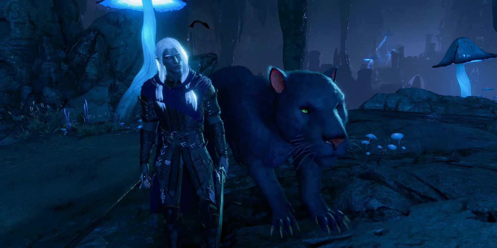Every Drizzt Do'Urden Book Series, Ranked