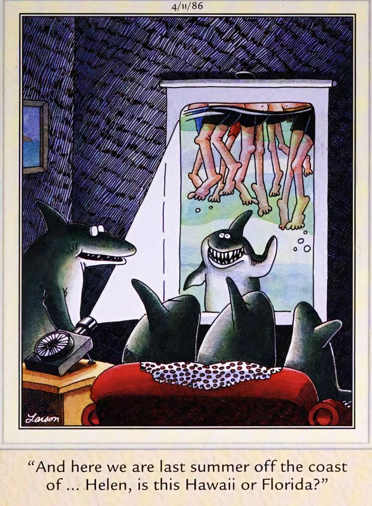 10 Far Side Comics That Will Make You Rethink Your Excitement for Summer