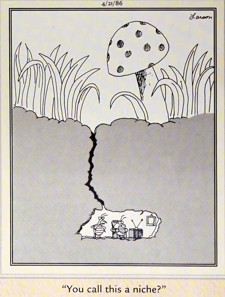 12 Far Side Comics Comics From 1986 Designed To Make Readers Go “WHAT-THE?”
