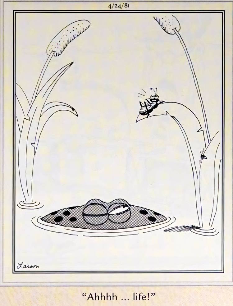 10 Hilarious Far Side Comics Starring Ants (That Readers Shouldn’t ...