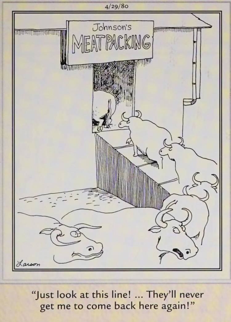 The Far Side's First 5 Cow Comics & Last 5 Cow Comics (And How Gary ...