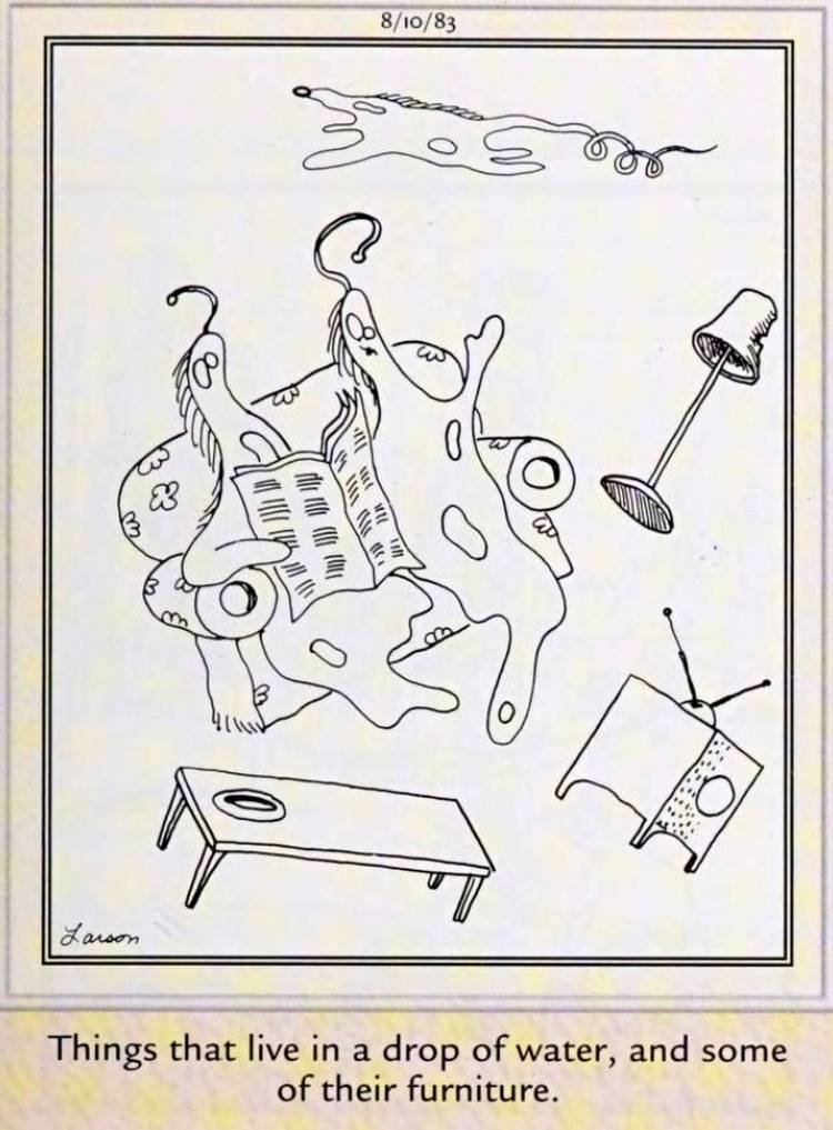 10 Amazing Far Side Comics About Amoebas
