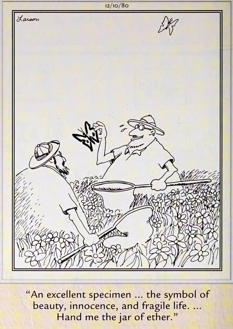 10 Brilliant Far Side Comics Featuring Butterflies (& Butterfly Hunters)