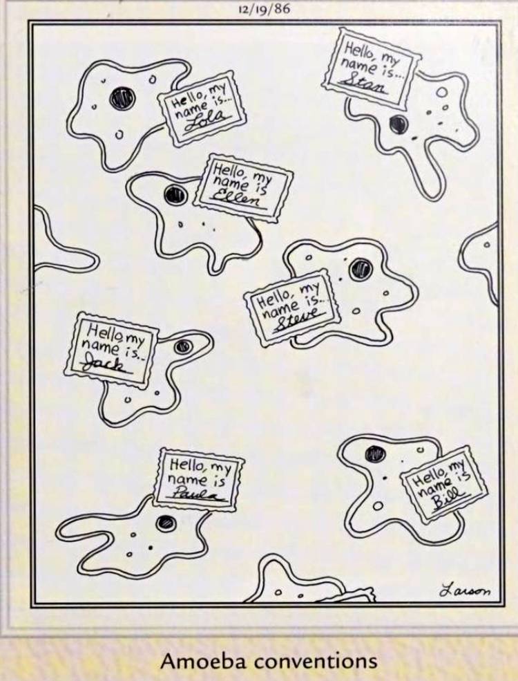 10 Amazing Far Side Comics About Amoebas