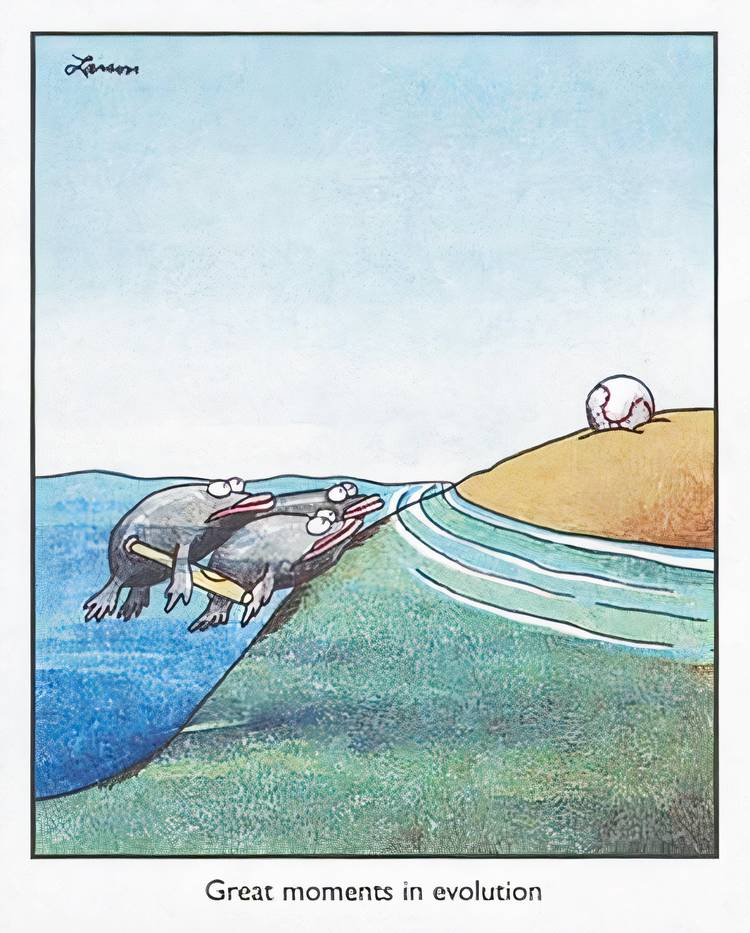 10 Funniest Far Side Comics At The Beach