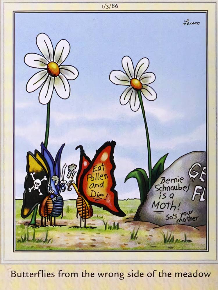 10 Brilliant Far Side Comics Featuring Butterflies (& Butterfly Hunters)