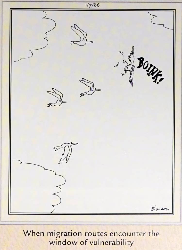 12 Far Side Comics Comics From 1986 Designed To Make Readers Go “WHAT-THE?”