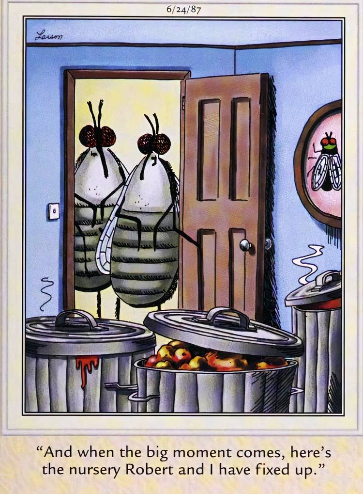 10 Hilarious Far Side Comics Starring Anthropomorphized Flies