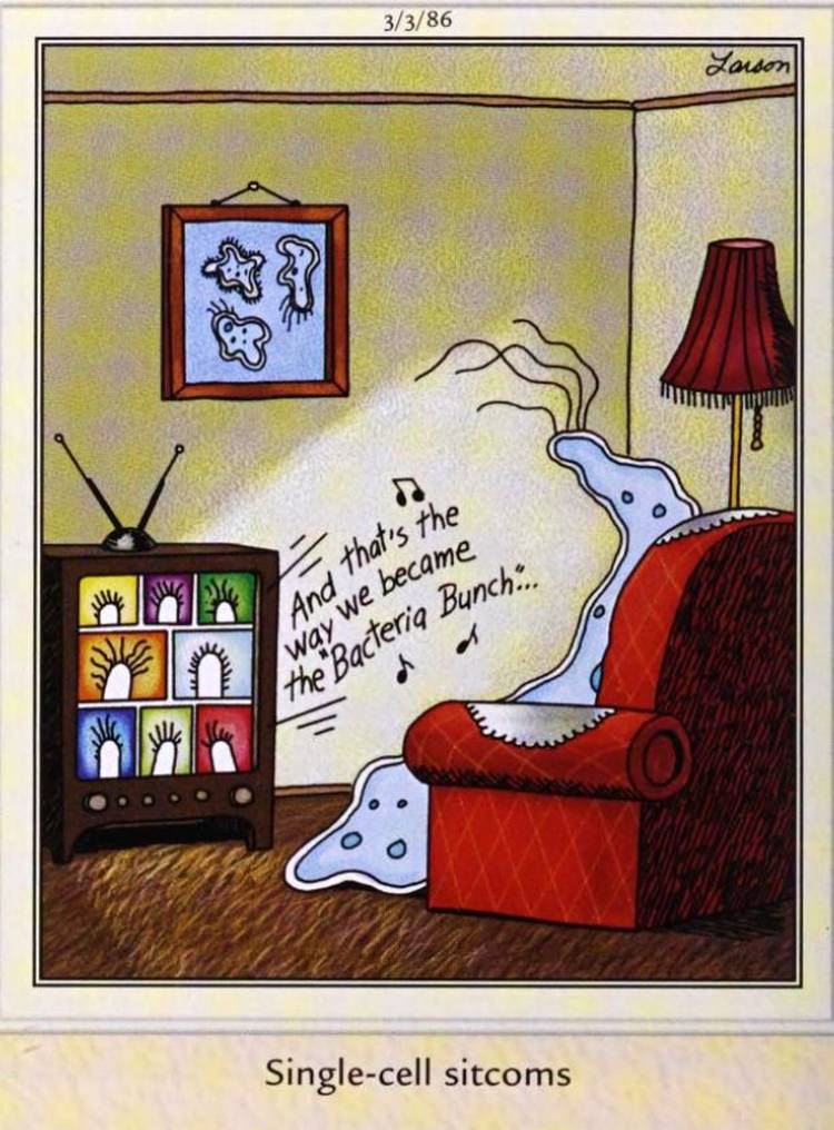 10 Amazing Far Side Comics About Amoebas