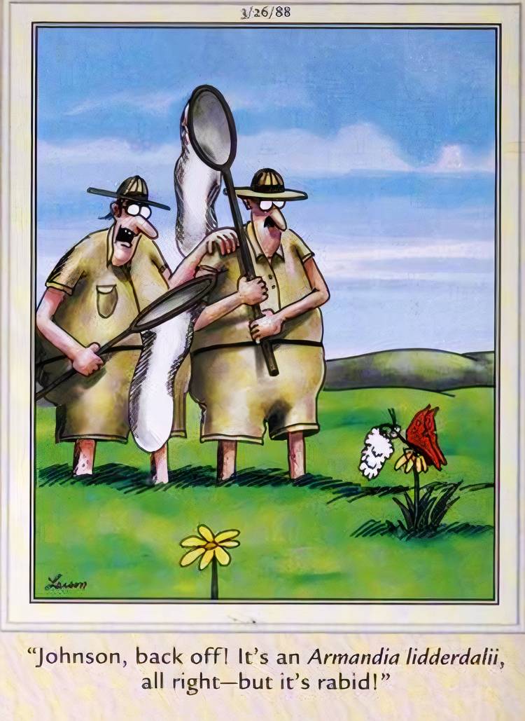 10 Brilliant Far Side Comics Featuring Butterflies (& Butterfly Hunters)