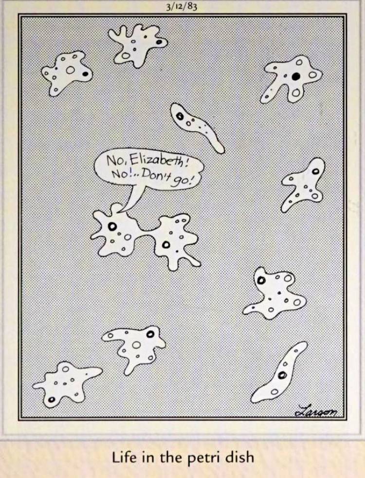 10 Amazing Far Side Comics About Amoebas