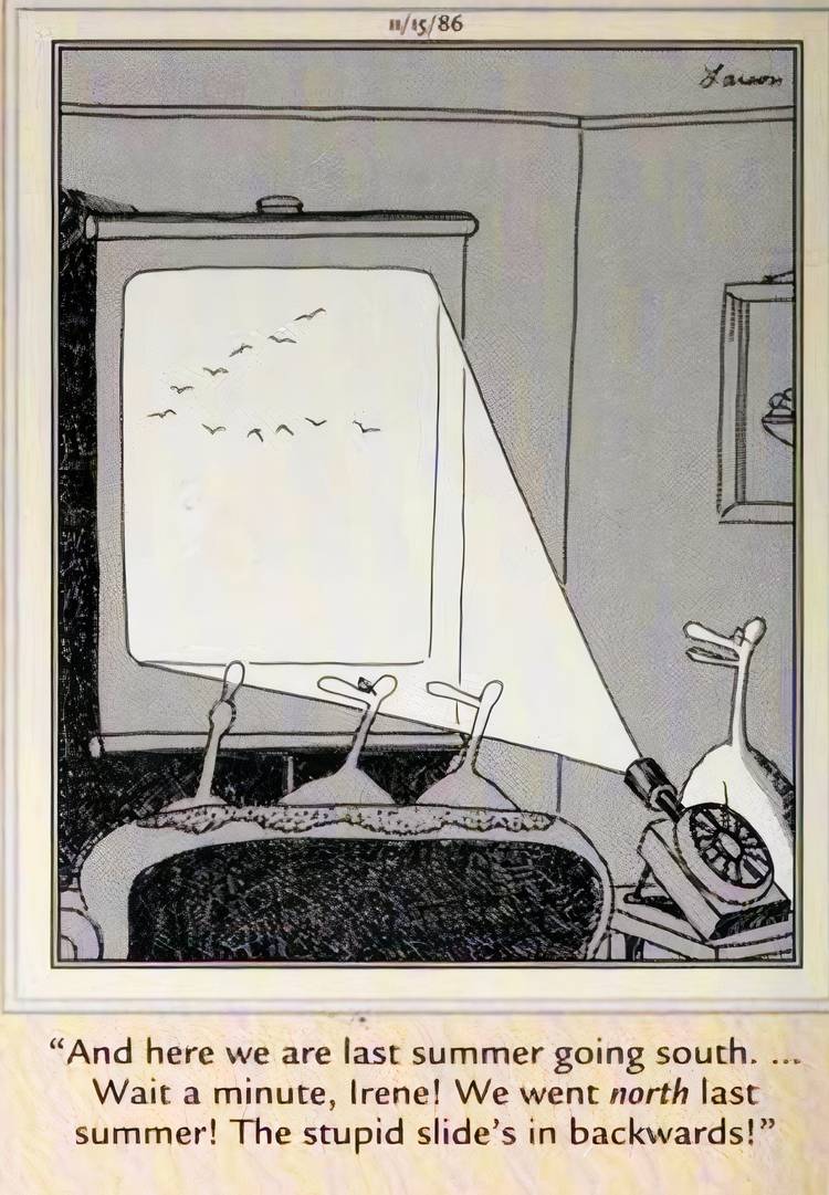 10 Hilarious Far Side Comics Where Birds Act Like Humans