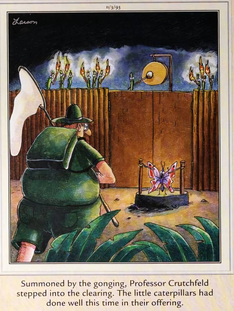 10 Brilliant Far Side Comics Featuring Butterflies (& Butterfly Hunters)