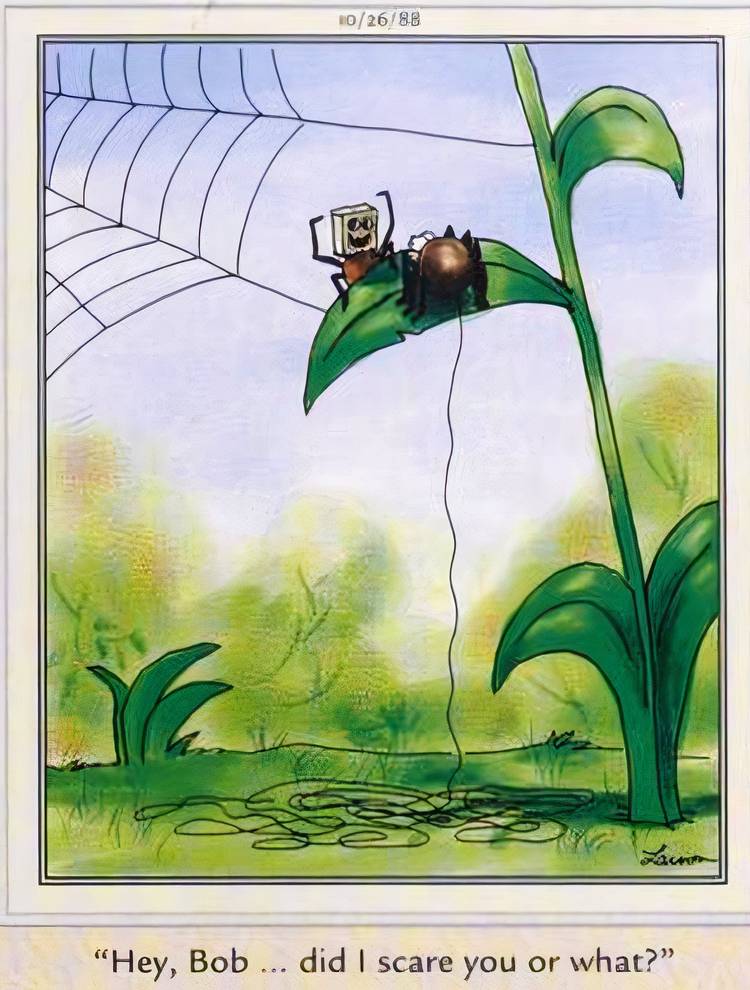 10 Hilarious Far Side Comics Starring Spiders