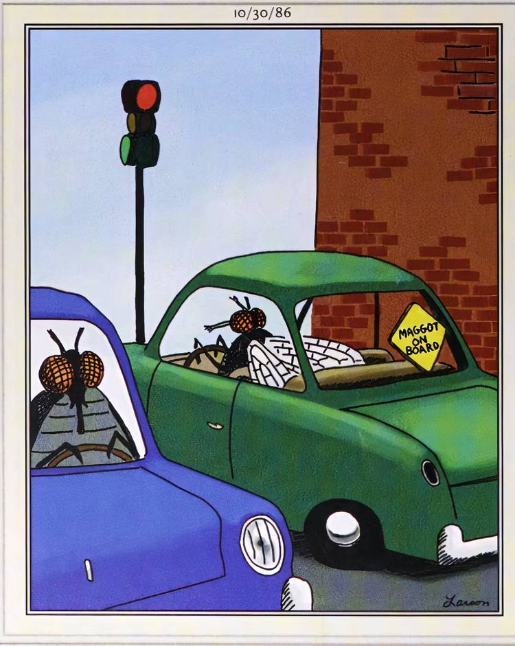 10 Hilarious Far Side Comics Starring Anthropomorphized Flies