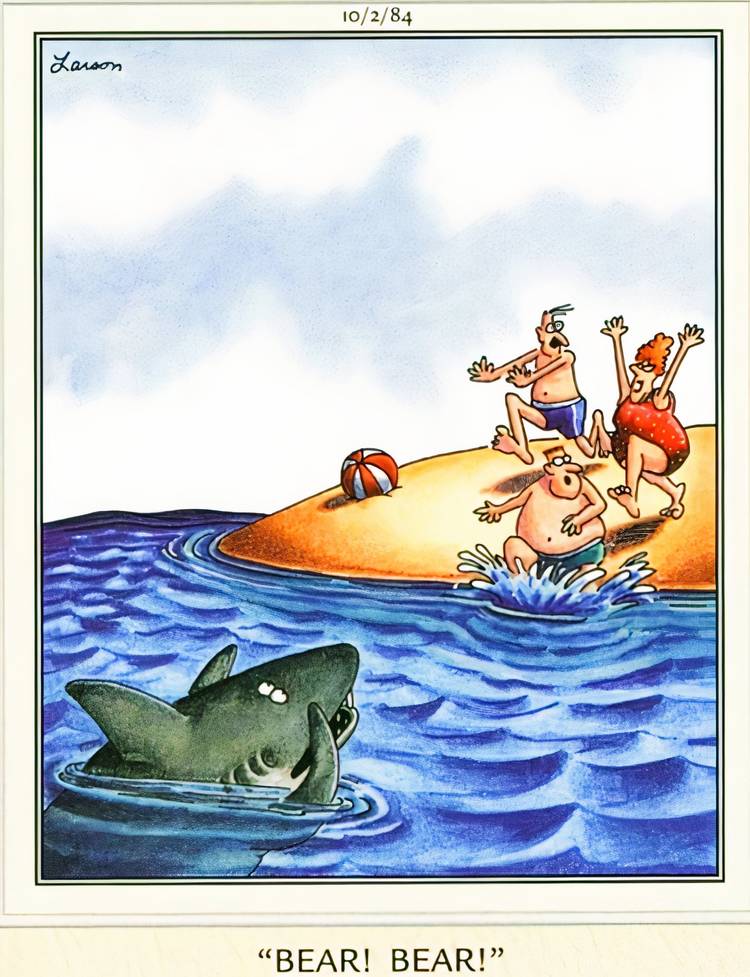10 Funniest Far Side Comics At The Beach
