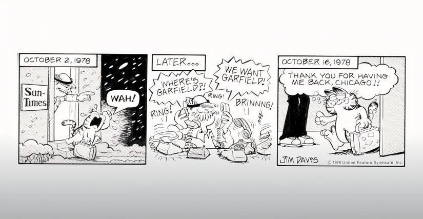 The Evolution of Garfield's Character Design Over the Decades