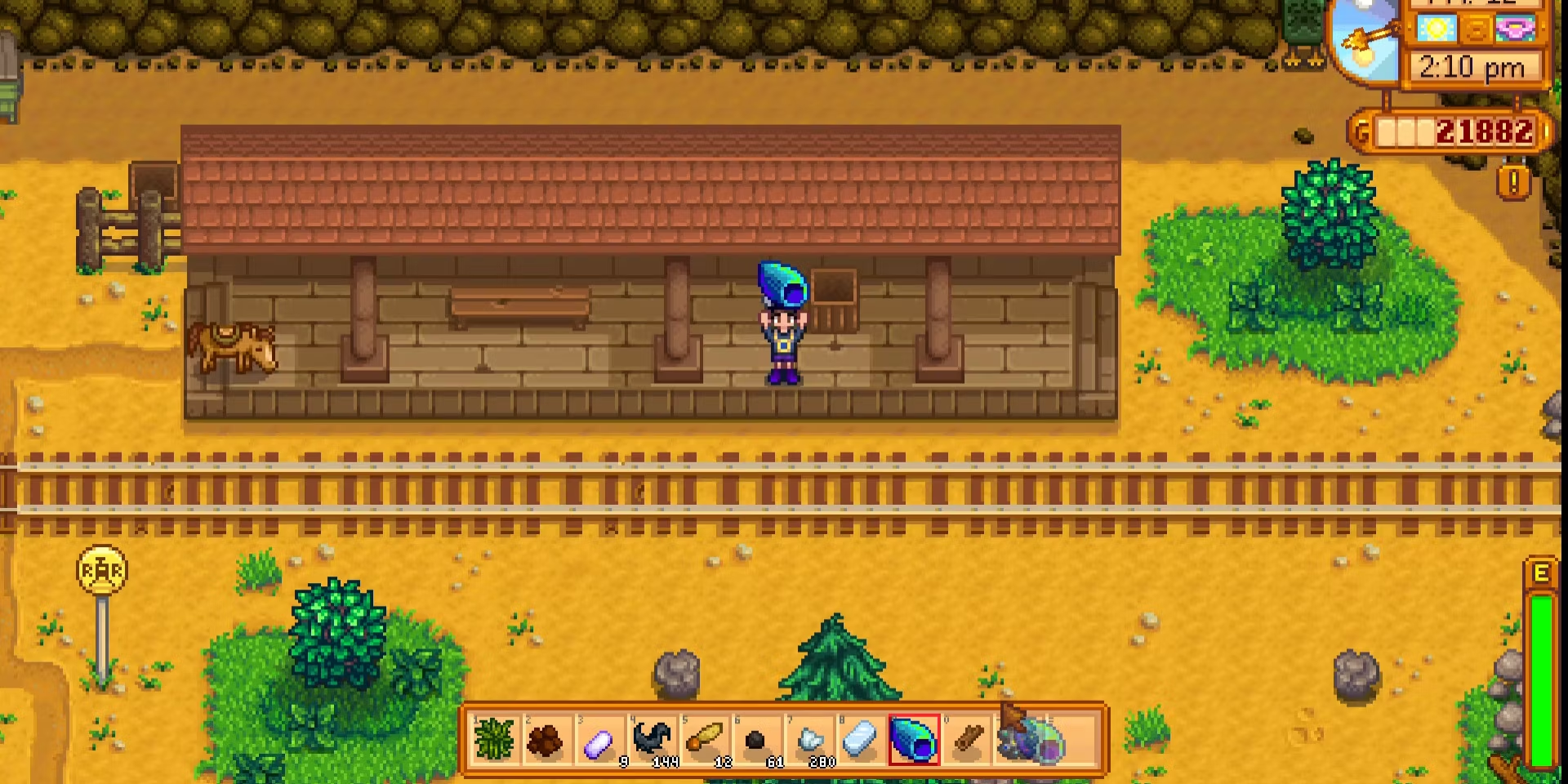 How To Get A Rainbow Shell In Stardew Valley