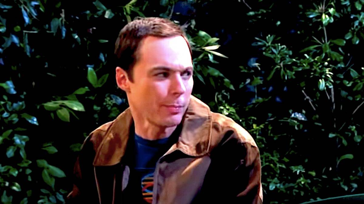 The Big Bang Theory’s Best Stephen Hawking Story Fixed A Sheldon ...