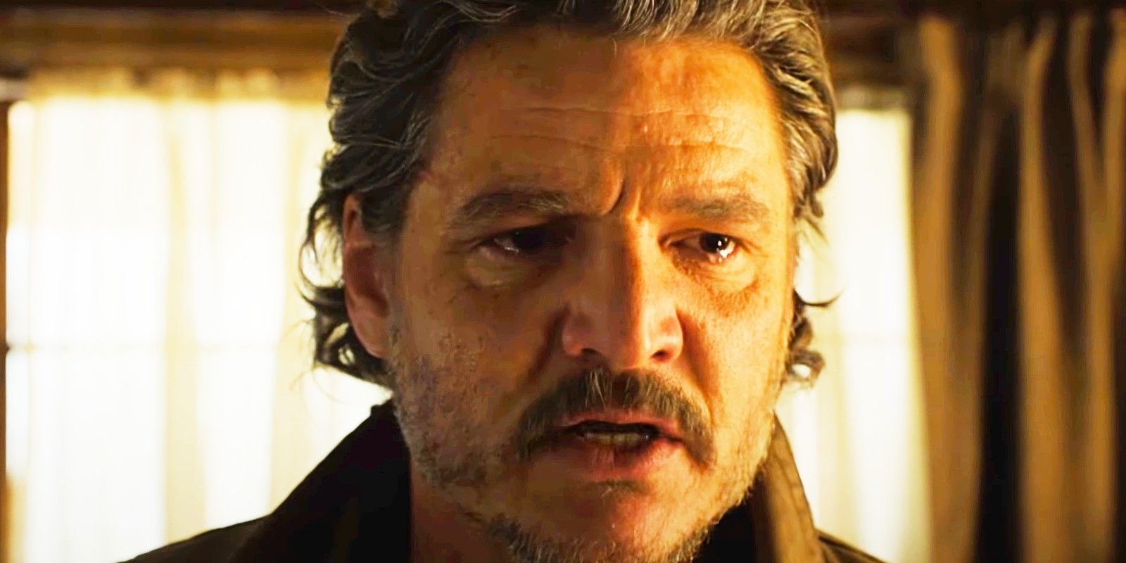 Industry Summary, Trailer, Season List, Cast, Where to Watch and More