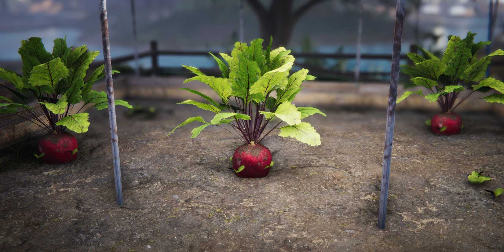 10 Best Crops to Grow in Once Human