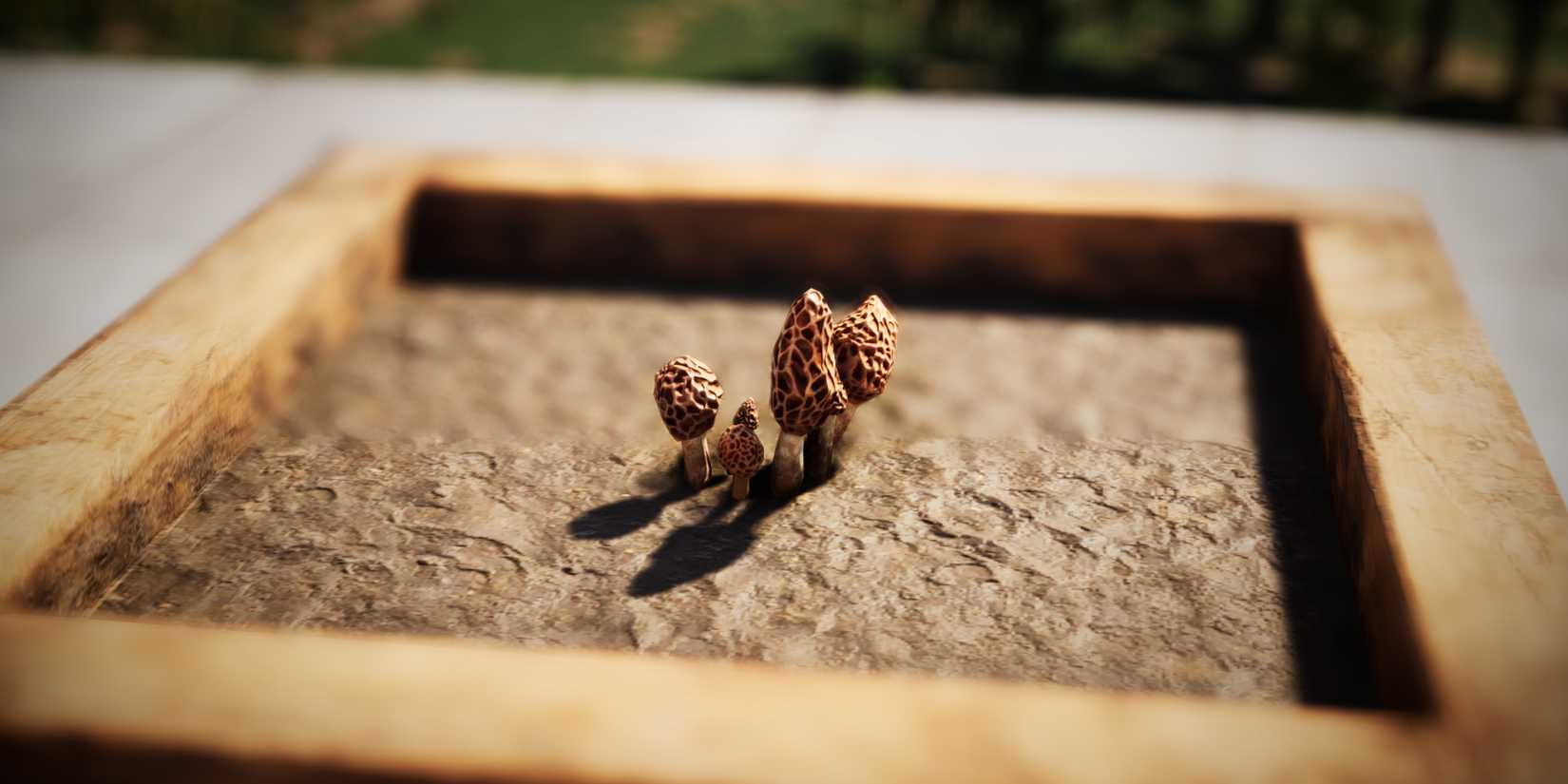 10 Best Crops to Grow in Once Human