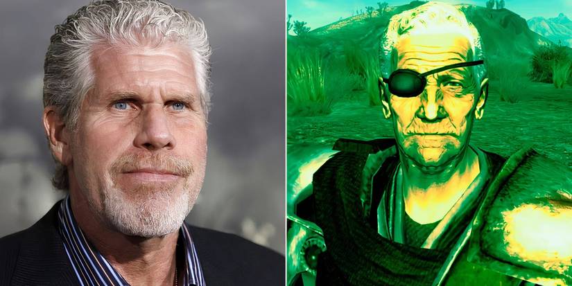 13 Actors From The Fallout Games Who Could Easily Play Their Own ...