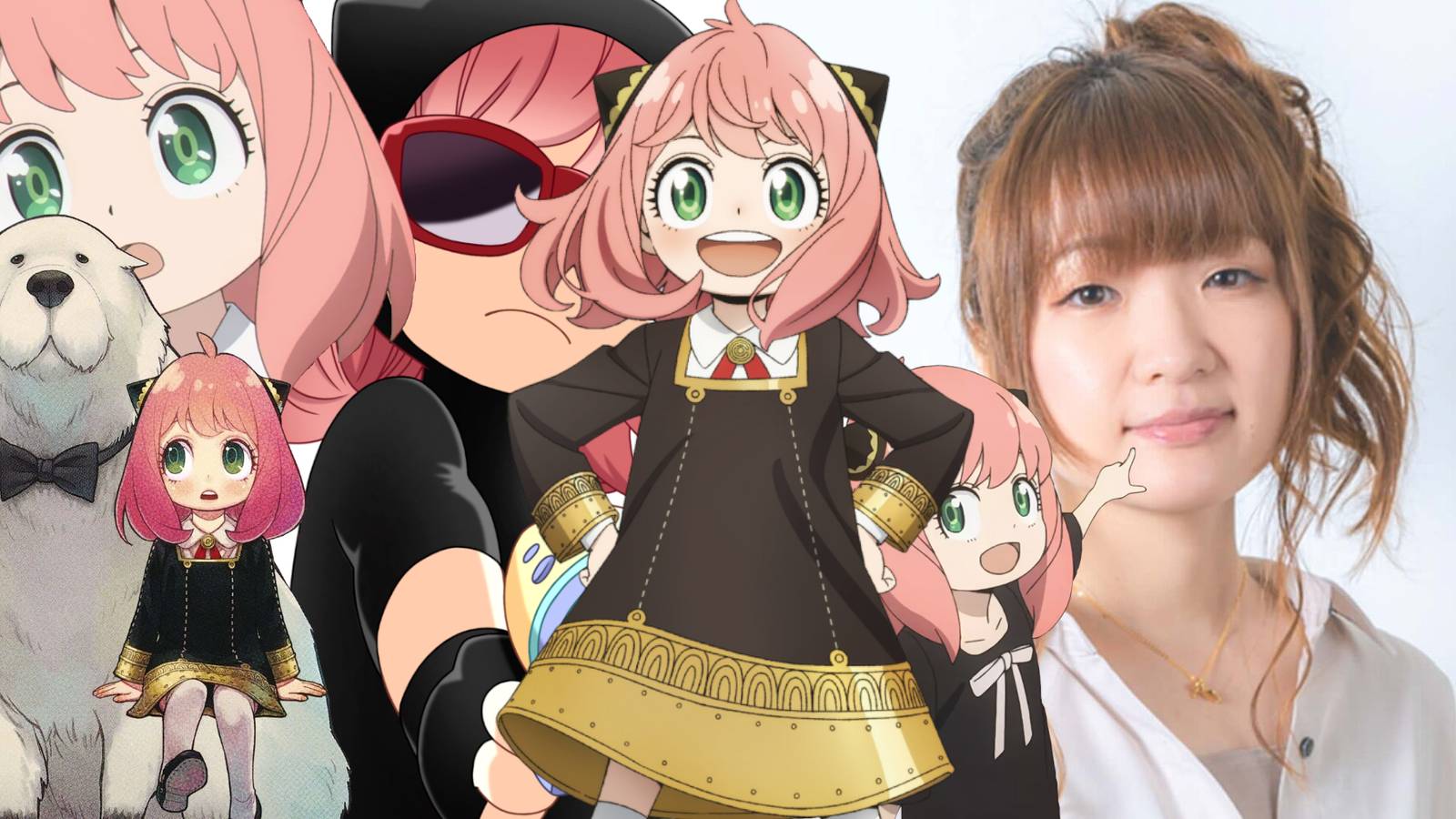 "This is it!": Spy x Family's Creator Gave The Highest Compliment To ...