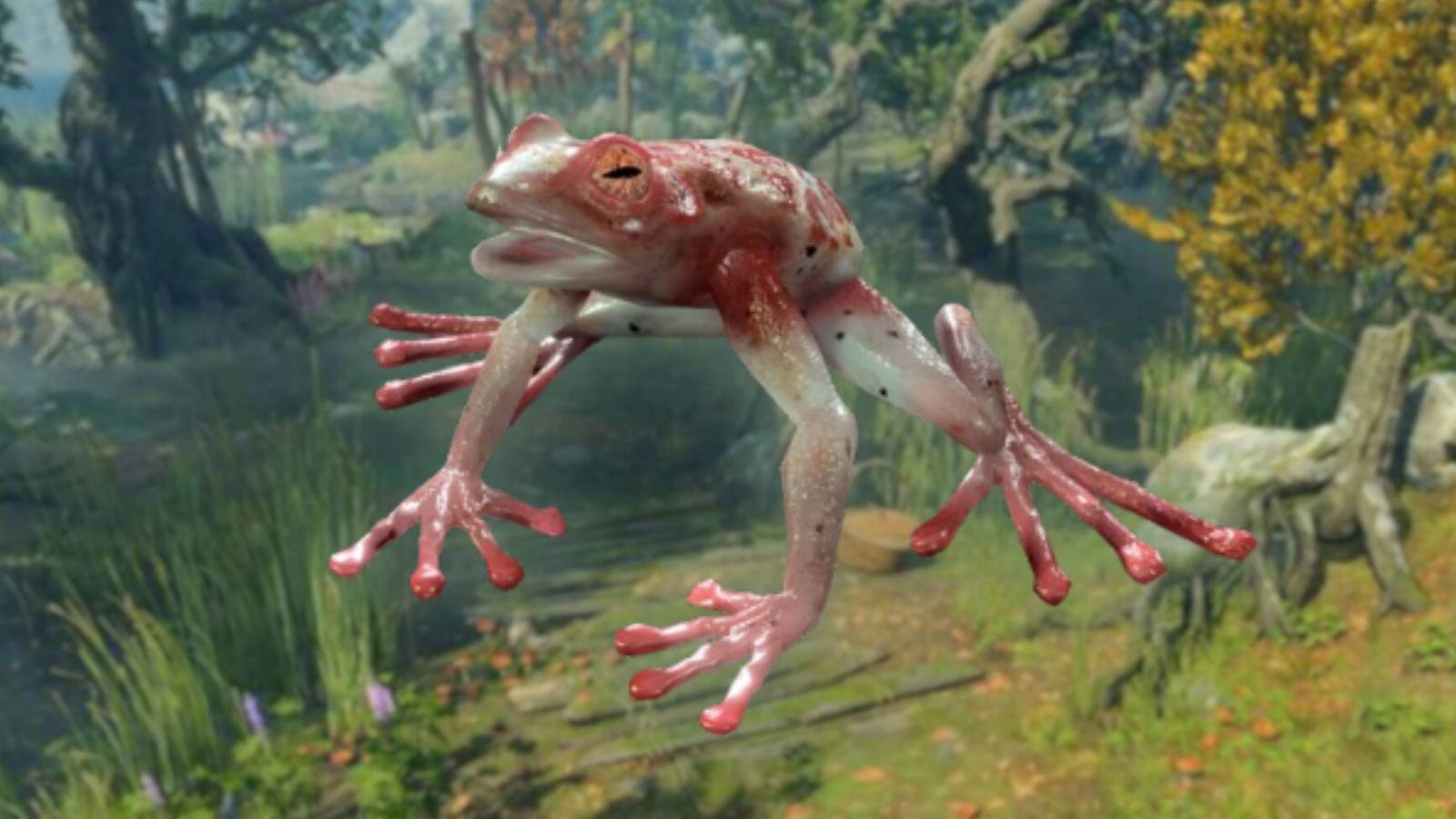 Baldur's Gate 3: Addled Frog Guide (Location, Uses, & Rewards)