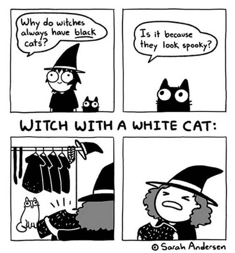 10 Best Sarah's Scribbles Comics About Cats