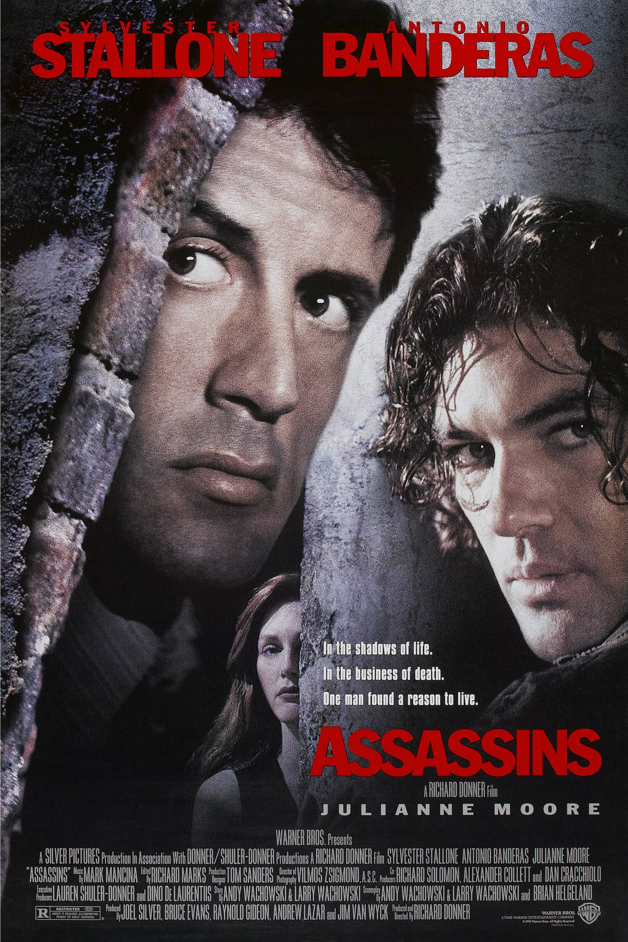 Assassins (1995) Summary, Trailer, Cast, Where to Watch and More