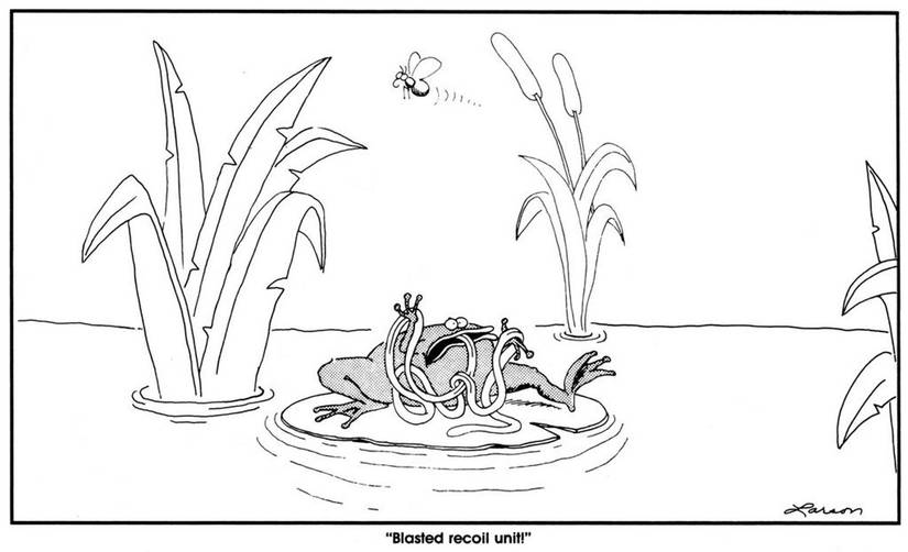 13 Funniest Far Side Comics That Somehow Make Frogs Hilarious