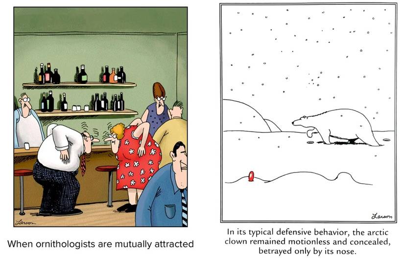 13 Funniest Far Side Comics That Just Turned 30 (Including Gary Larson ...