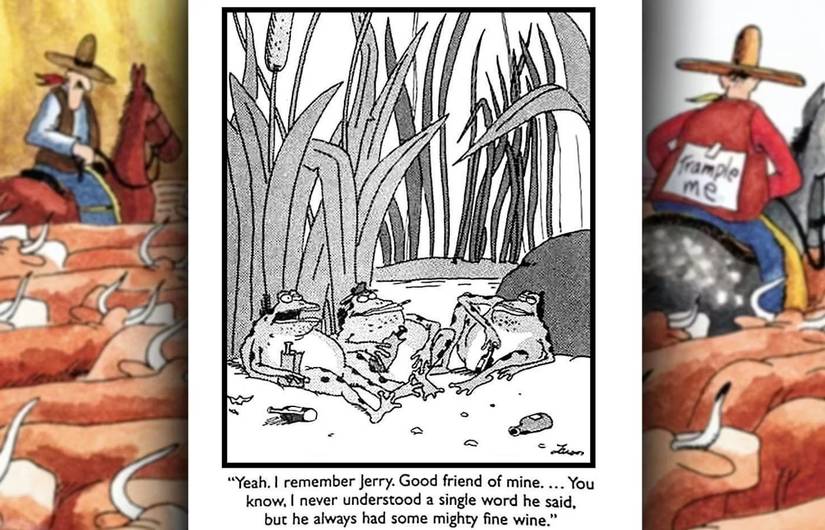 13 Funniest Far Side Comics That Somehow Make Frogs Hilarious