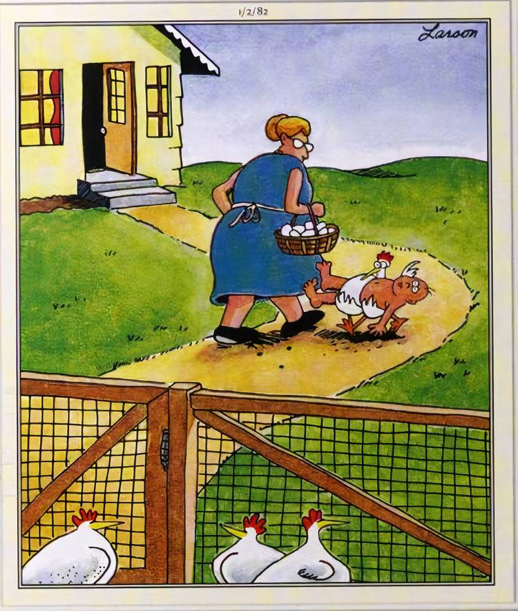 The Far Side: 10 Hilarious Comics Involving Everyone's Favorite Chickens