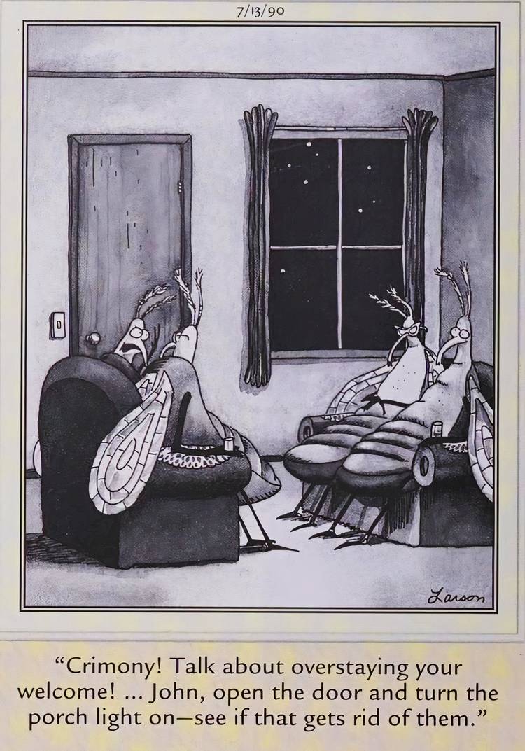 10 Far Side Comics That Made The Mundane Hilarious With One Panel