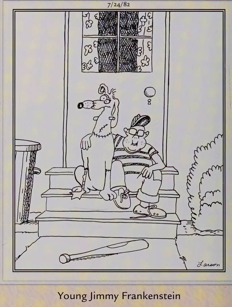10 Far Side Comics That Made The Mundane Hilarious With One Panel