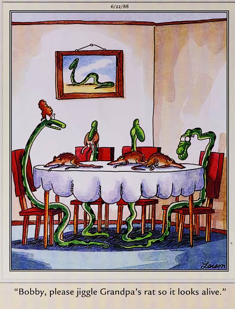 10 Far Side Comics Where Snakes Are Disturbingly Human